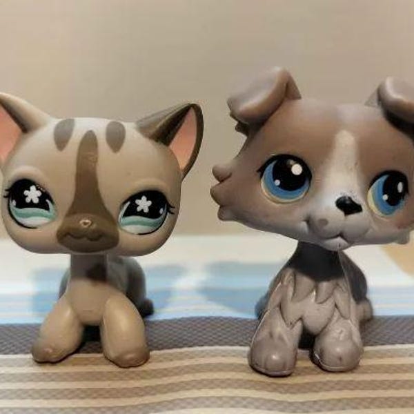 Littlest Pet Shop Persian Cat #460, Authentic Pet Figurine, Pink ...