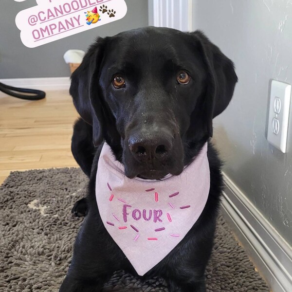 Personalized Dog Bandana Birthday Girl Bandanna for 1st Birthday ...