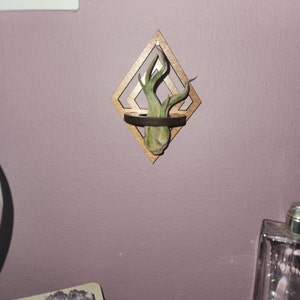 Mason Jar Plant Propagation frog Lid Inserts 2-pack Hold Flowers ...