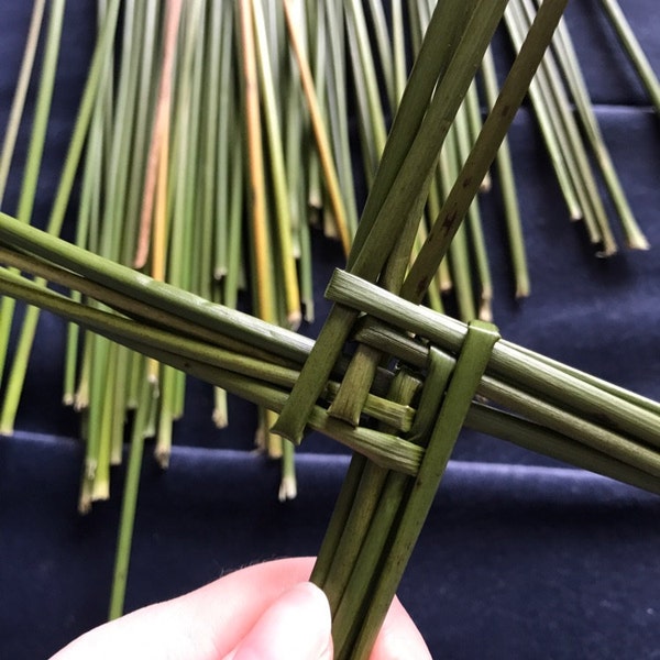 Authentic Irish Rushes for St Brigid's Cross Weaving, Celtic Craft ...