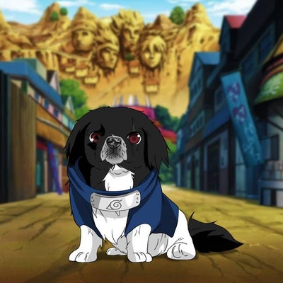 Custom Anime Pet Portrait, Dog Anime Portrait, Cat Anime Portrait, Pet ...