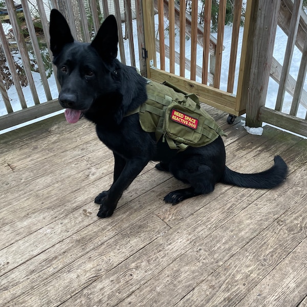 Personal Protection Dog Velcro Patch Set. FAFO. 100% Fully Embroidered ...
