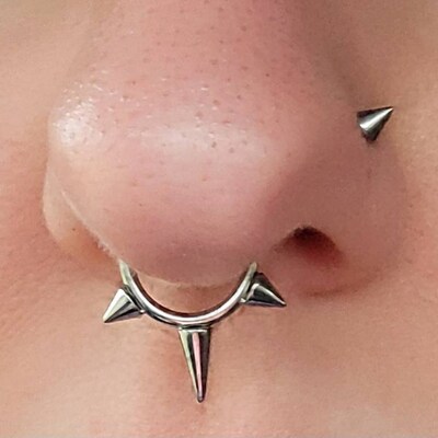 16G Implant Titanium Spike Septum Ring/nose Ring/daith Hoop/hinged ...