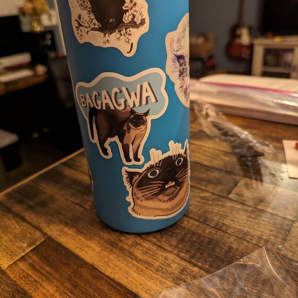 Merv the Cat Vinyl Sticker 2-pack / Mervthecat / Cat Sticker / Funny ...