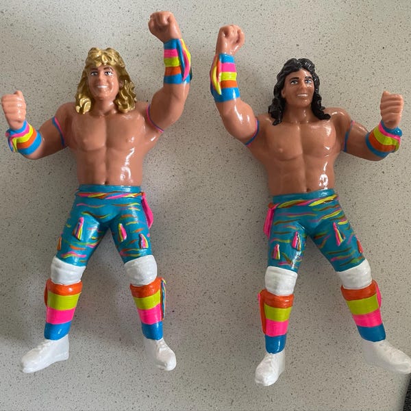 The Rockers Shawn Michaels & Marty Jannetty WWF Ljn Inspired XOX Custom ...