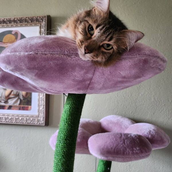 EDEN Wood Floral Cat Tree Tower, Wooden Cat Tower, Modern Cat Climbing ...