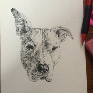 8x10 Black and White Custom Pet Portrait, Original Ink Drawing Dog Cat ...