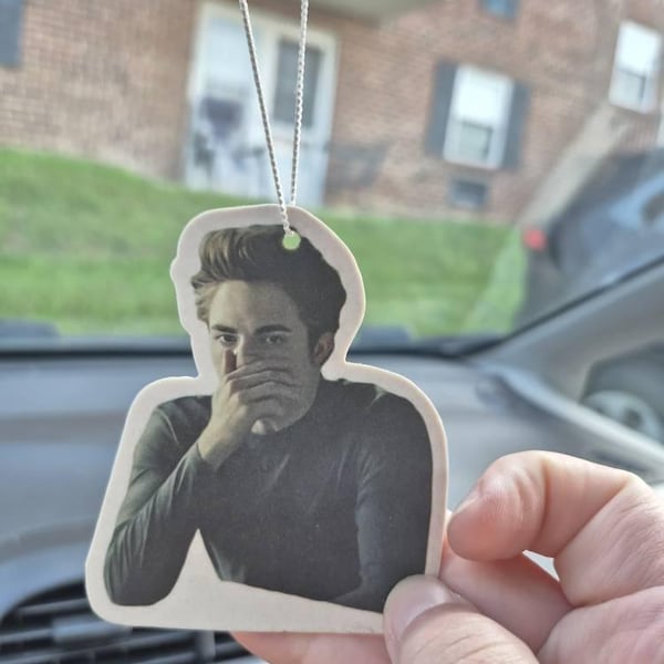 Tim Robinson on a Zipline Meme Car Air Freshener - Etsy