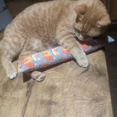16 Catnip Toy Large Kicker Cat Toy Cat Gift Organic - Etsy