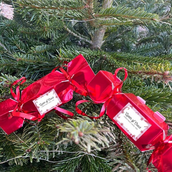 Pack of 5 Small Cracker Gift Boxes, Christmas Crackers, Chocolates ...