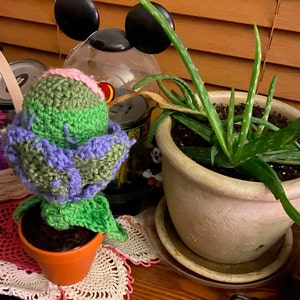 PATTERN ONLY Baby Audrey II Plant Crochet Pattern Little - Etsy
