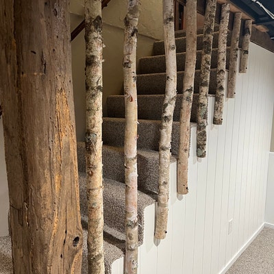 Four Thick White Birch Poles 8 Feet Long - Etsy