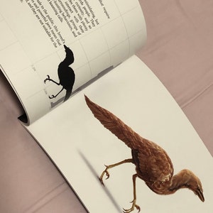 NOVOSAURS Book - Etsy