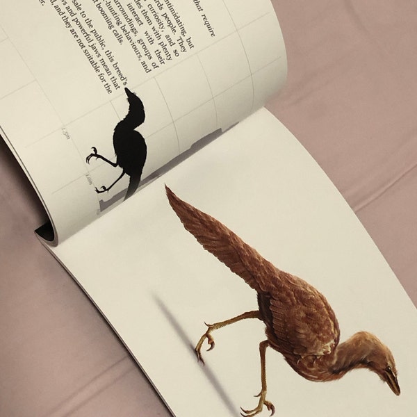 NOVOSAURS Book - Etsy UK