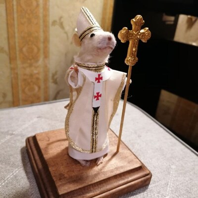 Taxidermy Mouse Pope Francis - Etsy