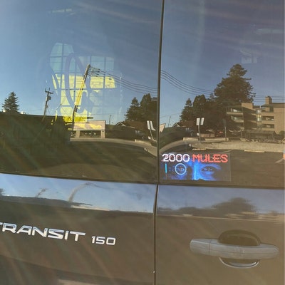 Twisted Tea Slap Sticker - Etsy