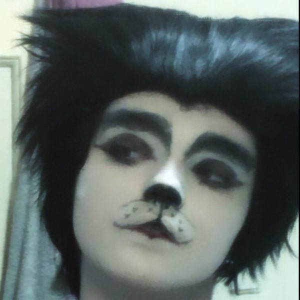 Men Black Slick Comb Back Cosplay Anime Short Hair Layers Wig Free Cap ...