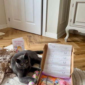 Personalised Cat Birthday Gift Box, Gotcha Day Presents, Pet ...