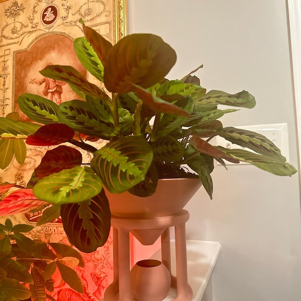 The FUNNEL Planter With Stand and Water Catch for Indoor House Plants ...