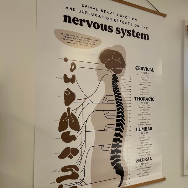 Chiropractic ANS Chart + Nervous System Poster | Subluxation Effects - Etsy