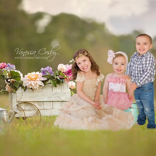 Spring Digital Backdrop, WEDDING Backdrop, ENGAGEMENT Backdrop Digital ...