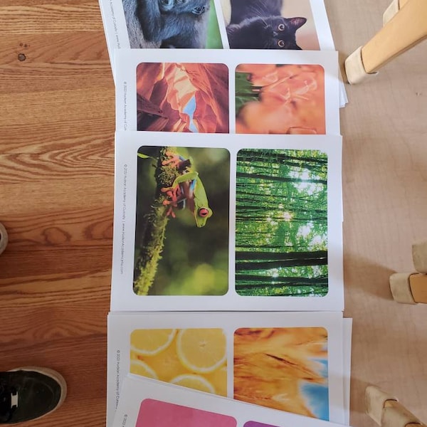 Color Matching Cards: Nature Photos, Montessori Learning (printable PDF ...