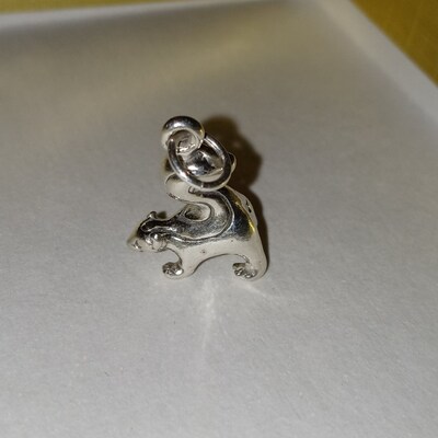 Sterling Silver Skunk Necklace Sterling Silver Skunk Charm on a ...