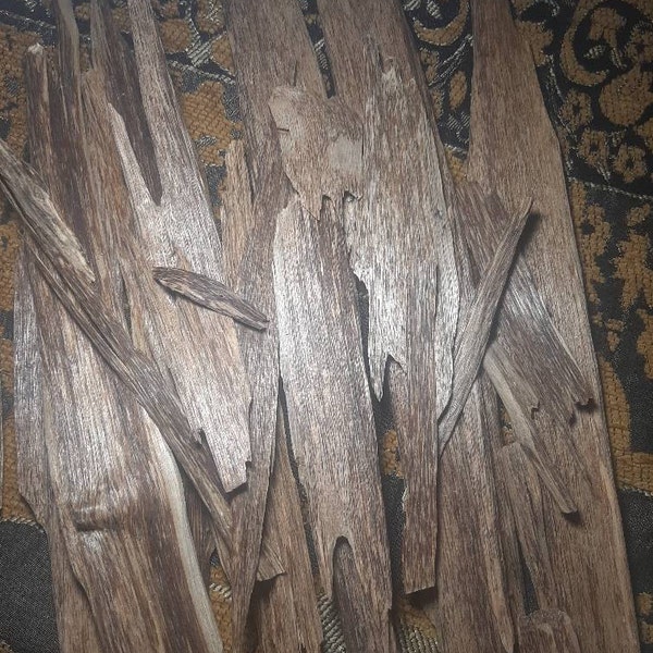 Limited Agarwood Chips Aquilaria Malaccensis Kalimantan Oud Wild Borneo ...