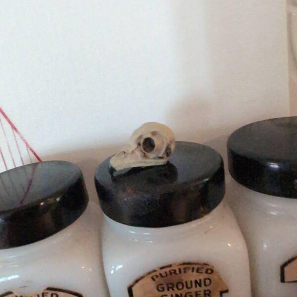 Tadpole Mini Jar - Baldur's Gate 3 Mind Flayer Illithid Parasite ...