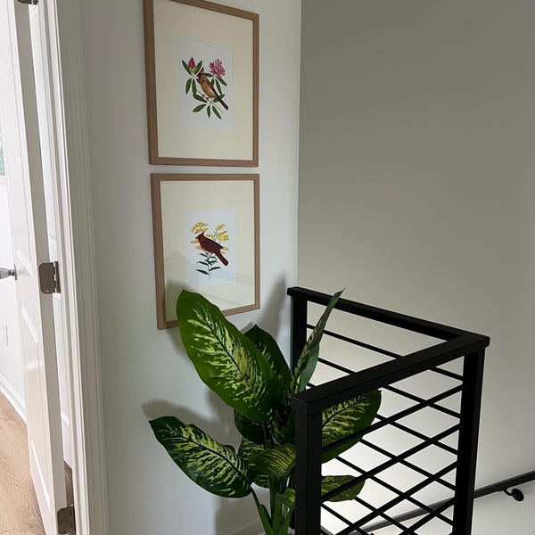 Connecticut State Bird Art Print | American Robin and Mountain Laurel ...