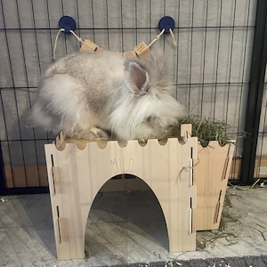 Wooden Rabbit Tunnel - Etsy
