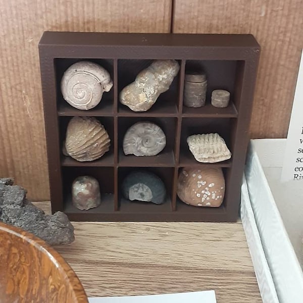 Wooden Curiosity Cabinet Printer Tray Letterbox Display, Rock Display ...