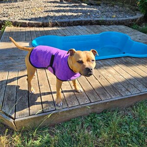 Dog Cool Coat and Collar, Chiller Cool Coat, Custom Dog Cooling Coat ...