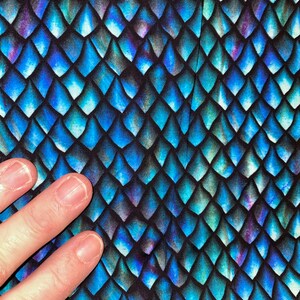 Red Flying Dragon Shields Flying Dragons by Jason Yenter for in the ...