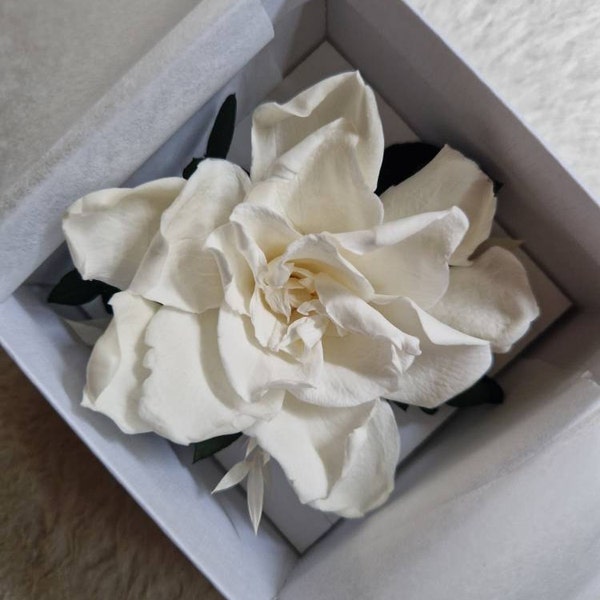 Buttonhole GENEROSITE Preserved Flower Accessory, Gardenia Wedding ...