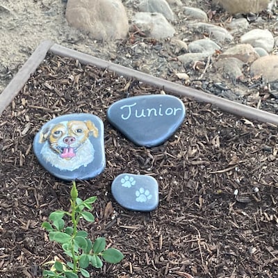 Commission a Hand Painted Pet Portrait Rock to Memorialize or ...