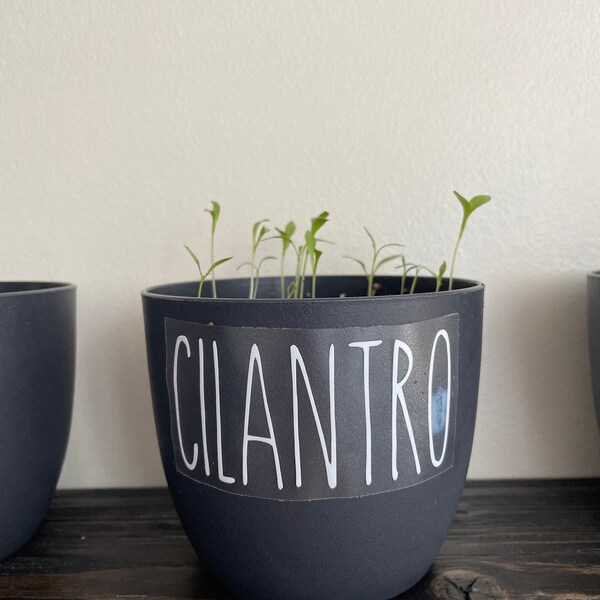 Herb Decals, Potted Plant Labels, Basil Label, Oregano Label, Gardening ...