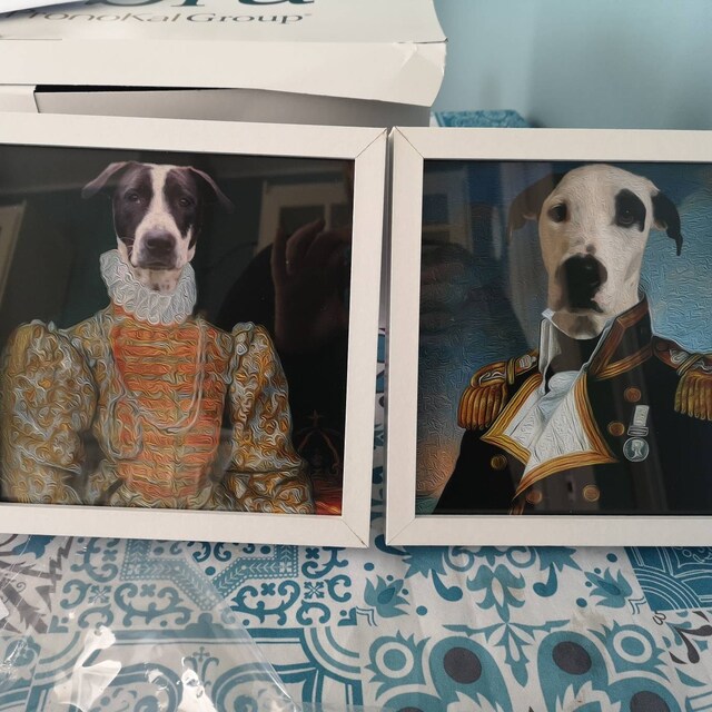 The Funny Pet Portrait Shop by FunnyPetPortraitShop on Etsy