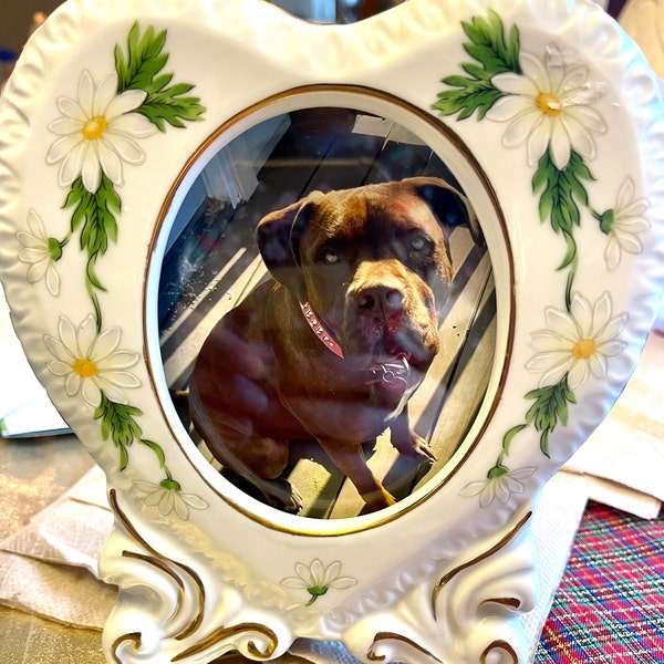 Gibson Everyday Palm Tree Design Plate, 8 1/4 Inch Salad, Tropical ...