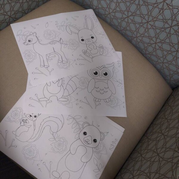 Arctic Animals Coloring Pages for Kids, Arctic Animals Activities ...