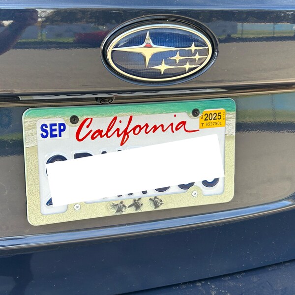 Custom College Greek Sorority & Fraternity Novelty License Plate ...