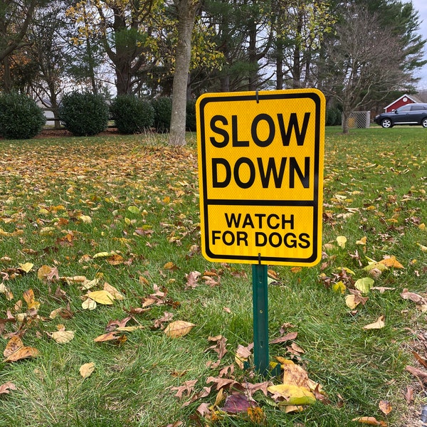 Slow Down Watch for Dogs Sign, Aluminum, Yellow, Reflective 10" by 14 ...