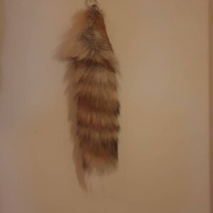 Dyed Sheared Beaver Pelt Colored Beaver Fur Paint Real - Etsy
