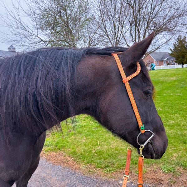 Custom Handmade PINK Bridle Leather Buckstitched Split Ear Headstall - Etsy
