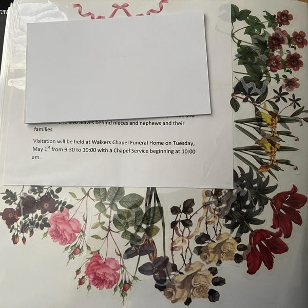 Large Vinyl Transparent Insect Stickers Die Cut Decal Set Waterproof ...