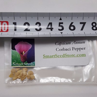 Corbaci Pepper, Turkish Heirloom, 10 Rare Seeds, Rich Sweet Flavor ...