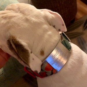 Dog Leash Lead Hardware Snap Hooks Bolt Snaps Leash Snaps - Etsy