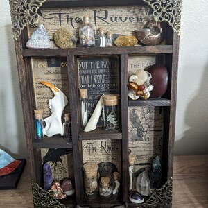 20 Item Curiosities Mystery Box Gift Real Animal Bones Fossils ...