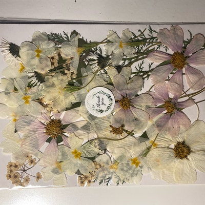 Pressed Flower Cards, Anniversary Card, Flowers Note Card, Pressed ...