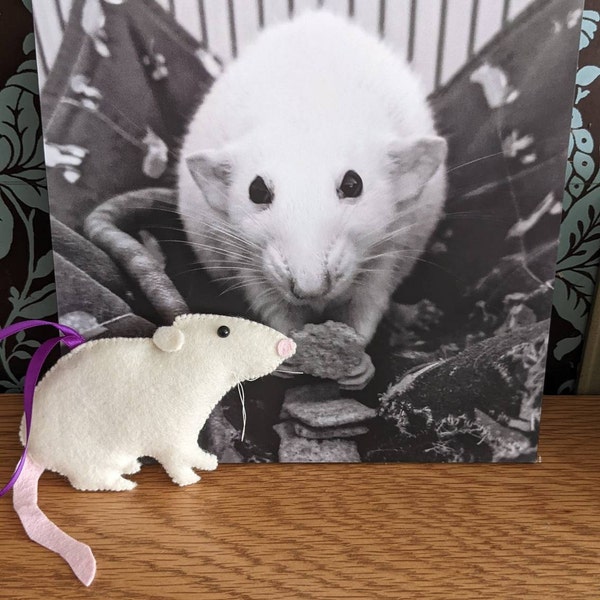 Cotton the Rat- White Rat With Red Eyes- Felt Decoration- Red Eyed Rat ...